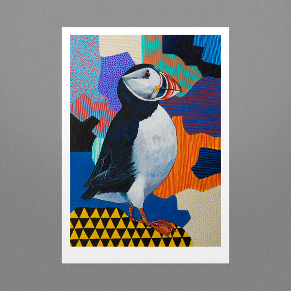 Pembrokeshire Puffin Fine Art Print – WelshCoastal Co